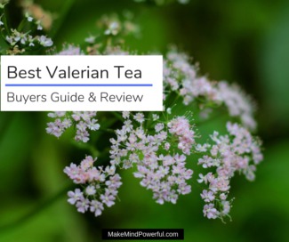 Best Valerian Teas 2022 (Buyers Guide + Review) - Mindfulness Dojo